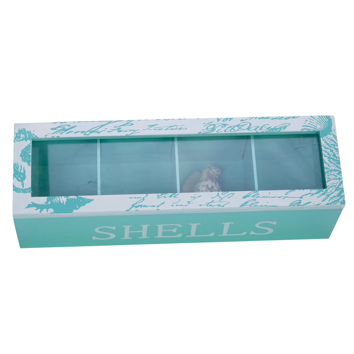 Rectangular Shell Collecting Box – C&F Enterprises, Inc.