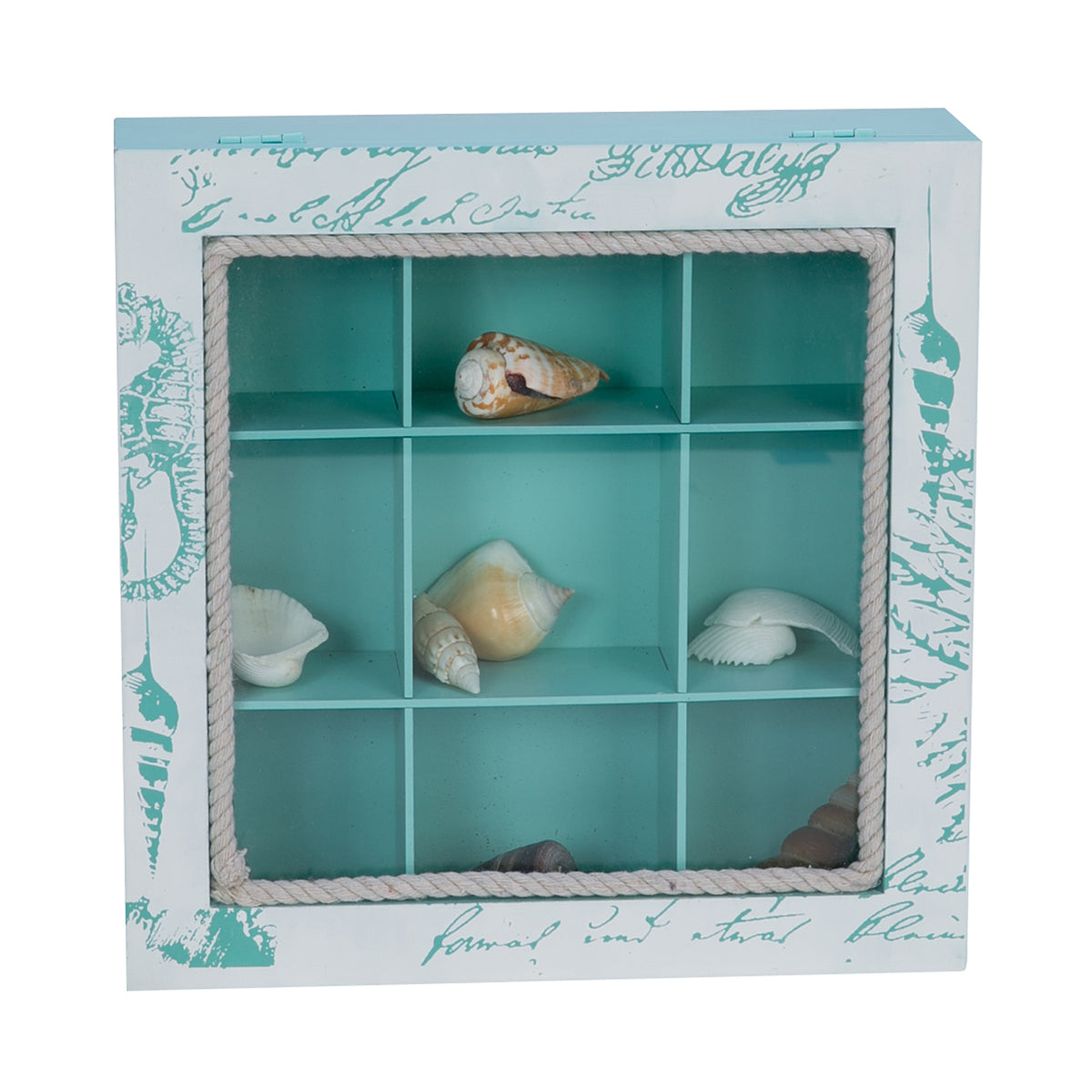 Square Shell Collecting Box – C&F Enterprises, Inc.