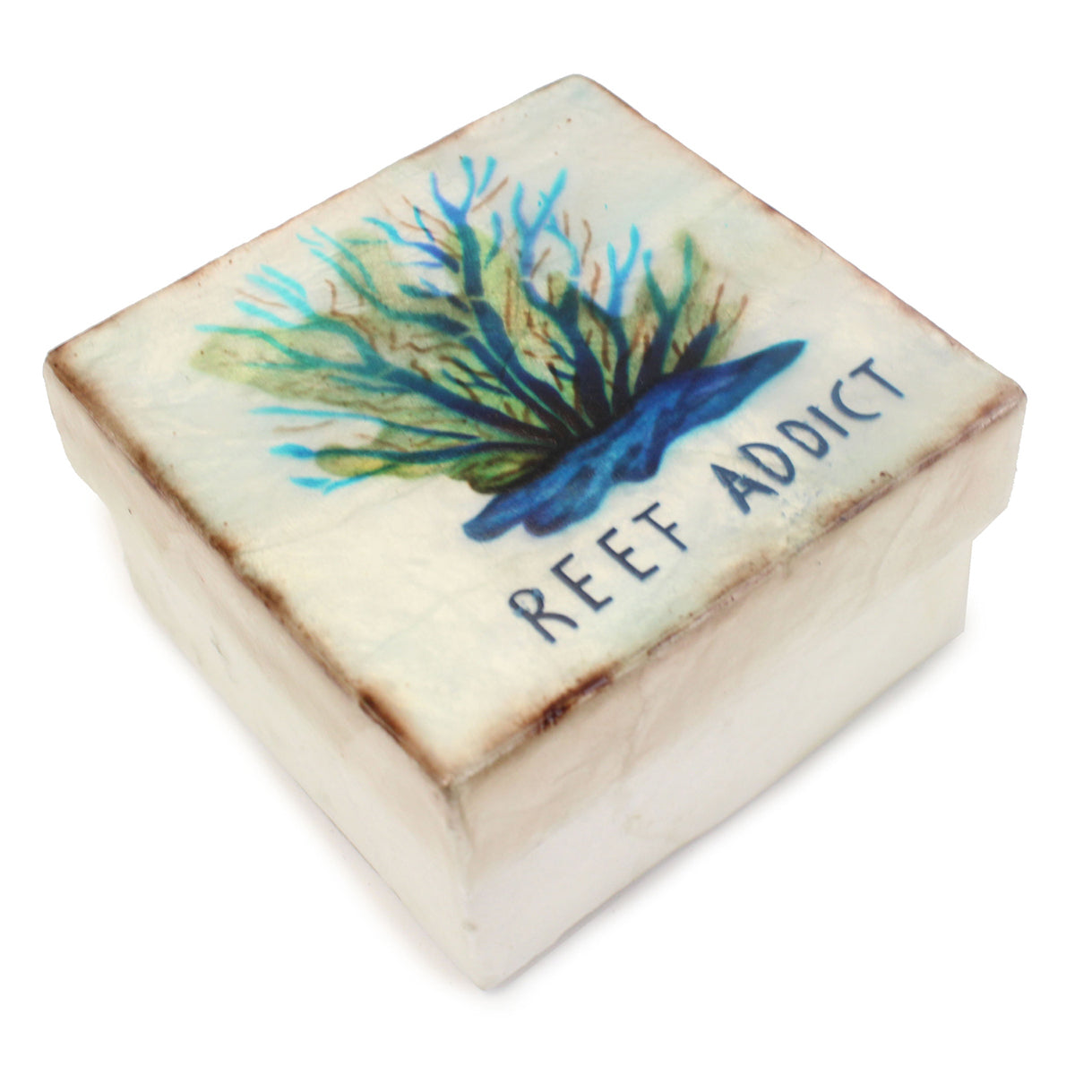 3 in. Capiz Reef Addict Trinket Box – C&F Enterprises, Inc.