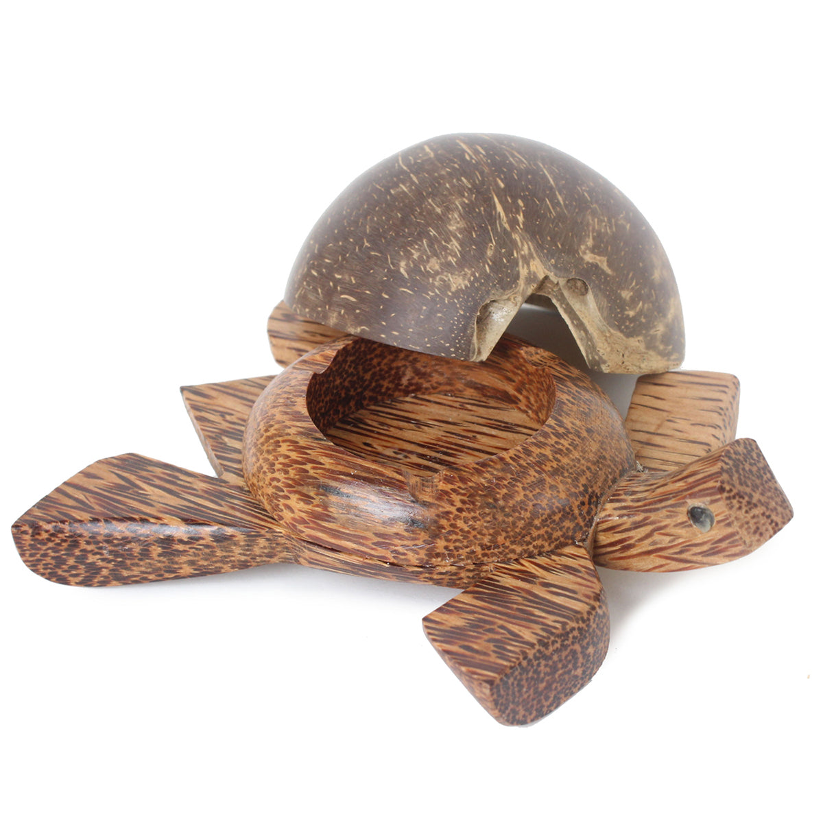 5.5 in. Coconut Turtle Figurine – C&F Enterprises, Inc.