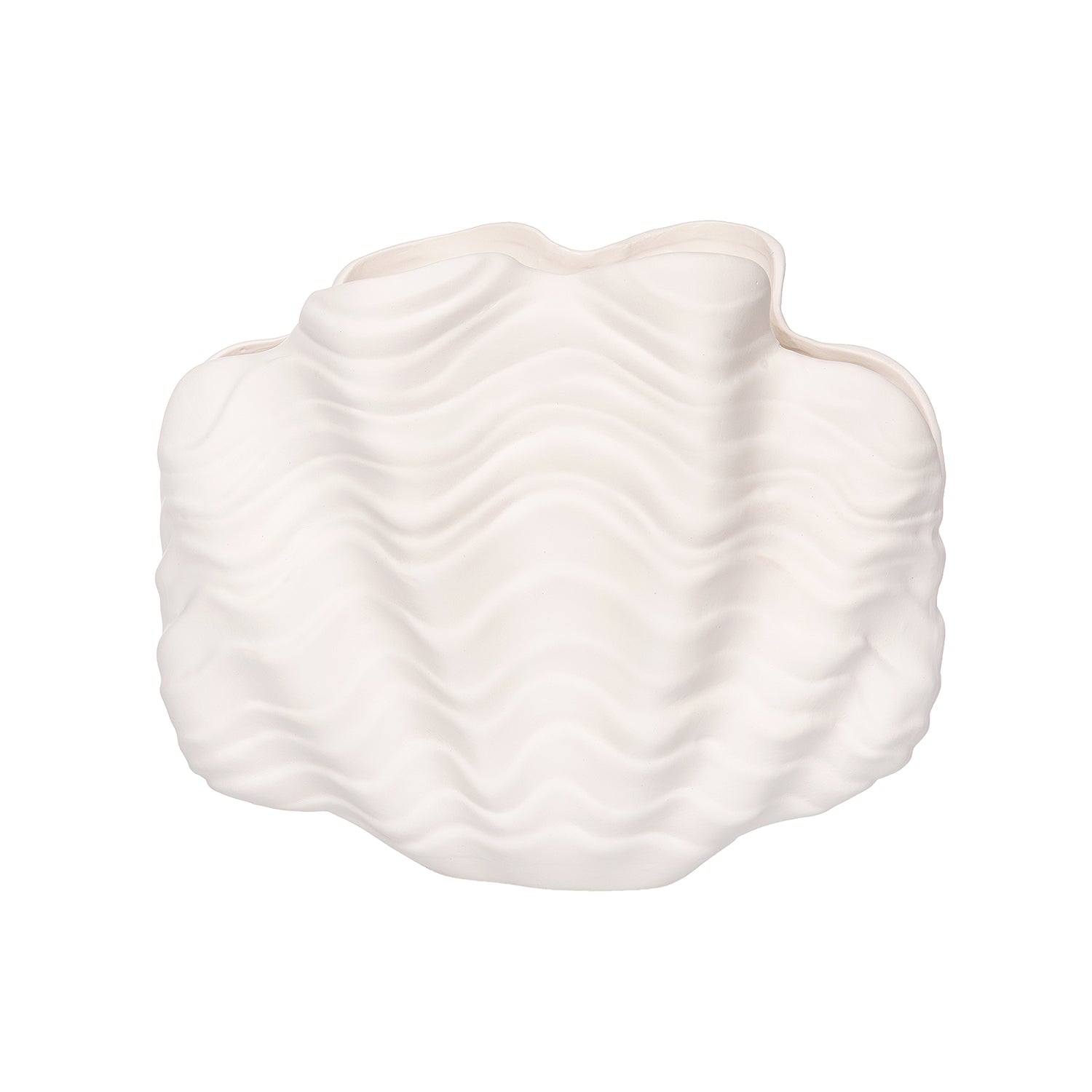 Giant Clam Shell Vase – C&F Enterprises, Inc.