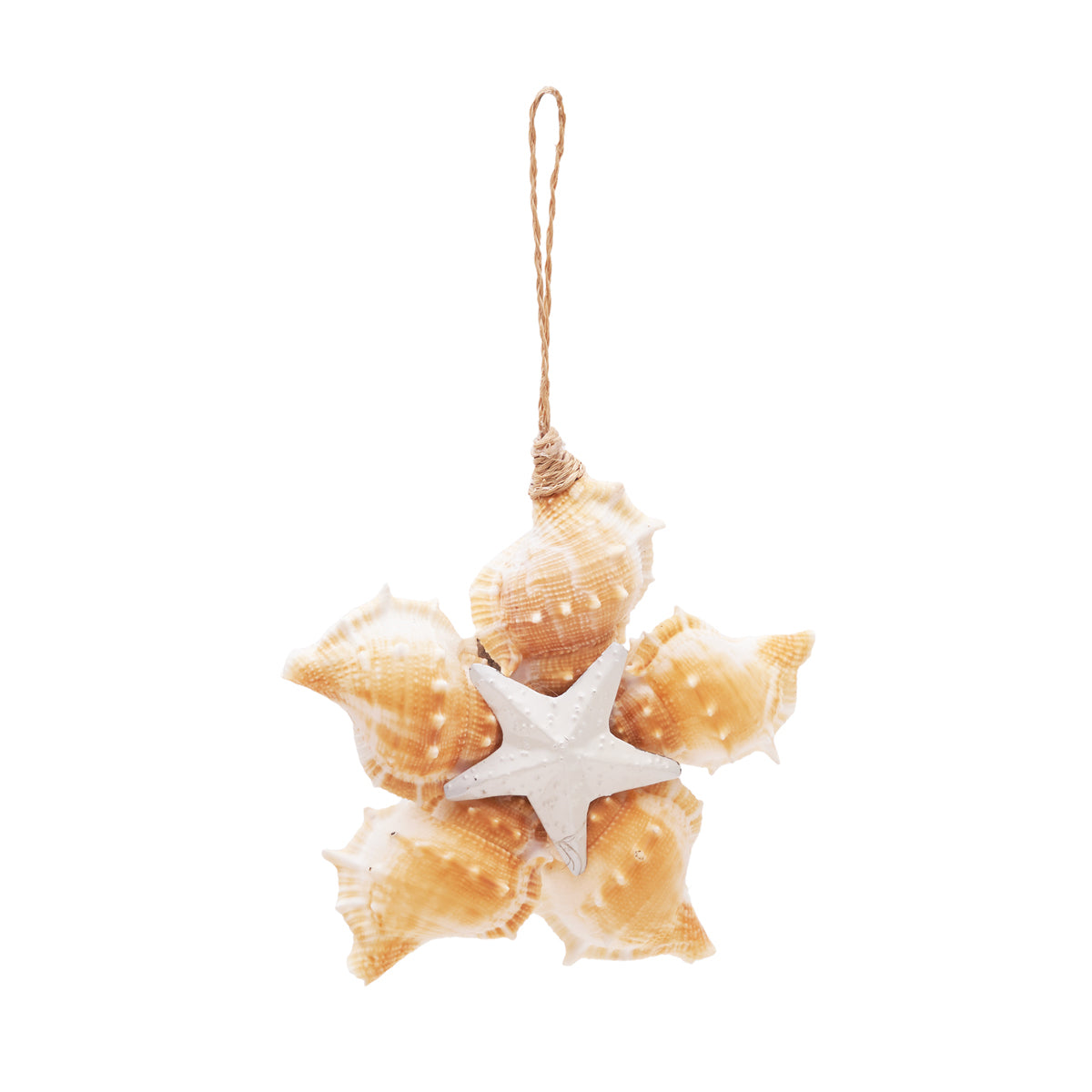 Sea Star & Shells Star Ornament – C&F Enterprises, Inc.