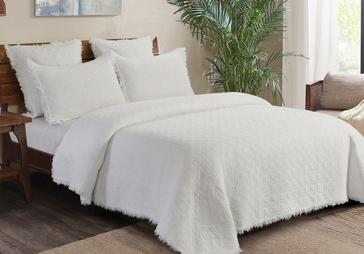 C&F Enterprises, Inc. – C&F Enterprises, Inc.